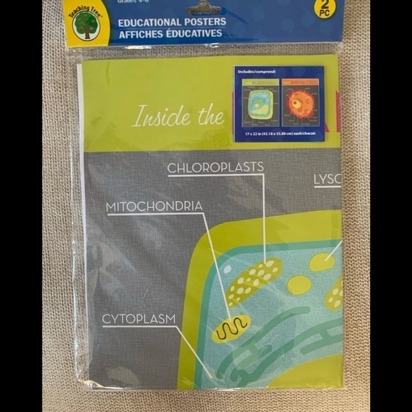 Other | Educational Posters Plant Cell Animal Cell | Poshmark